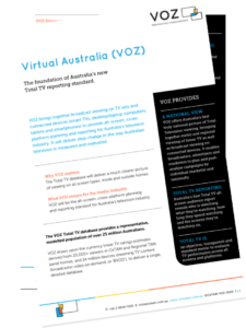 VOZ Fact Sheet - VOZ